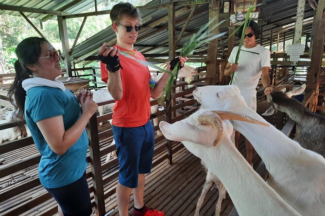 Penang Countryside Cycling Tour. PPA2 by Matahari - Authentic Experiences and Insights from Travelers