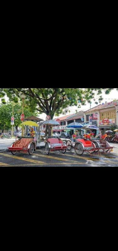 Penang: Exciting Local Full Day Private tour 6-10pax(8Hours) - The Sum Up