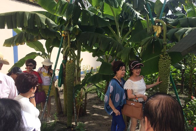 Penang: Flexible Half-Day Escapes - Who Should Book This Tour?