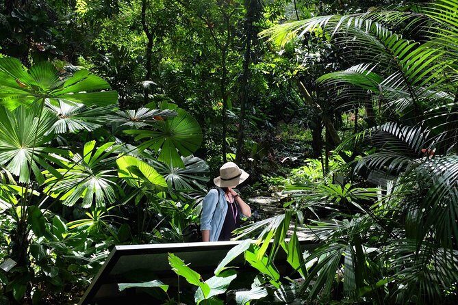 Penang Half Day City Tour Including Tropical Spice Garden - Introduction to the Tour Experience
