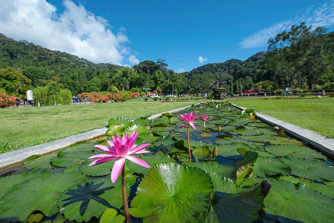 Penang Hill(FastLane),Ferringhi Beach,Botanic Garden & Kek Lok Si - FAQs