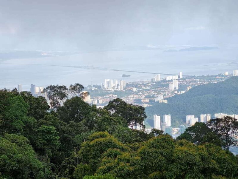 Penang: Kek Lok Si Temple and Penang Hill Guided Tour - What Travelers Say