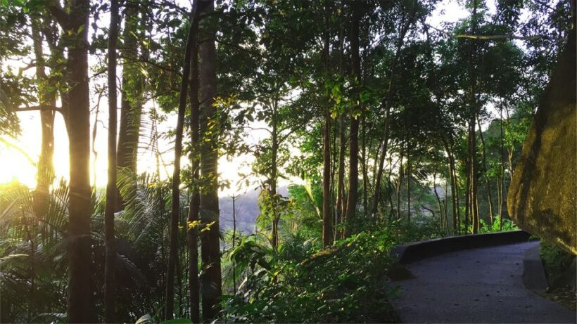 Penang: The Habitat Penang Hill Entry Ticket - Key Points