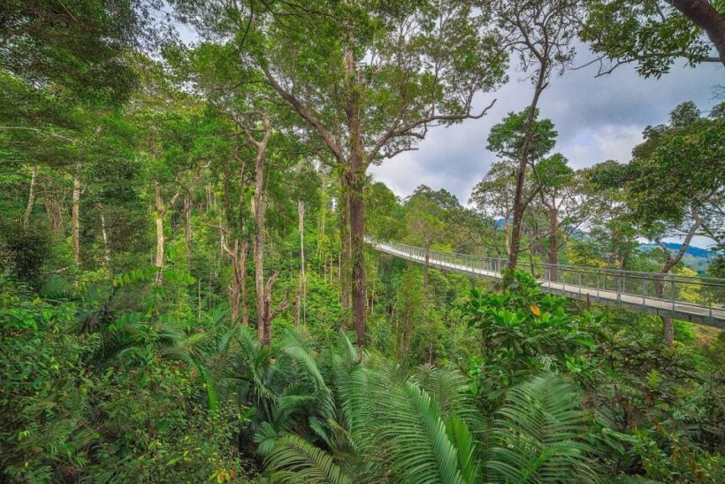 Penang: The Habitat Penang Hill Entry Ticket - An In-Depth Look at the Experience