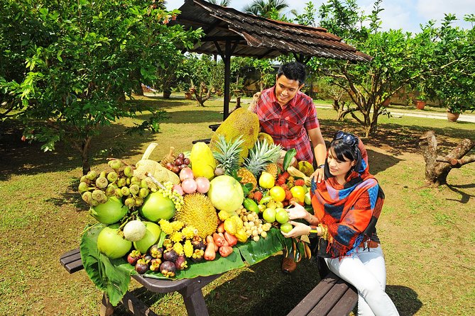 Penang Tropical Fruit Farm with Fruit Tasting - The Practical Side: What Travelers Need to Know