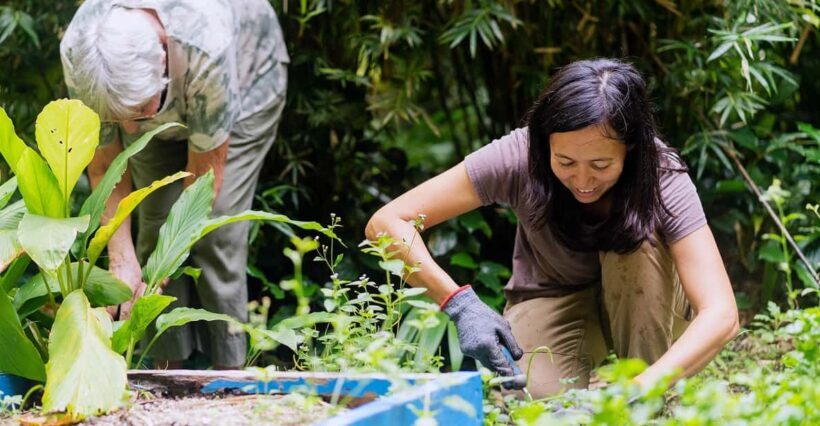Penang: Tropical Spice Garden Entrance Ticket & Guided Tours - What to Expect During Your Visit