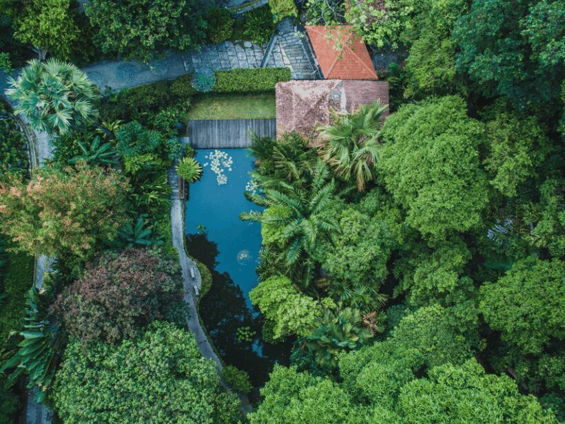 Penang: Tropical Spice Garden Entrance Ticket & Guided Tours - The Value for Your Money