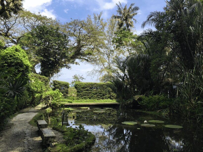 Penang: Tropical Spice Garden Entrance Ticket & Guided Tours - Practical Tips for Visiting