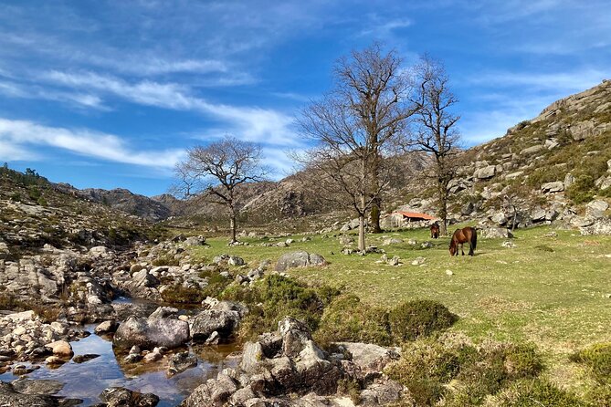 Peneda-Gerês Hiking & Sightseeing: Private Experience - Exploring Roman Roads and Granite Massifs