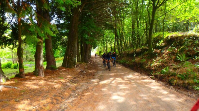 Peneda Gerês National Park: Self-Guided Electric Bike Tour - Practical Details & Tips
