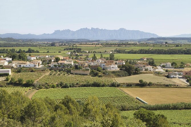 Penedes and Cava Winery Small Group Tour - Exploring the Penedes and Cava Winery Small Group Tour: A Detailed Review