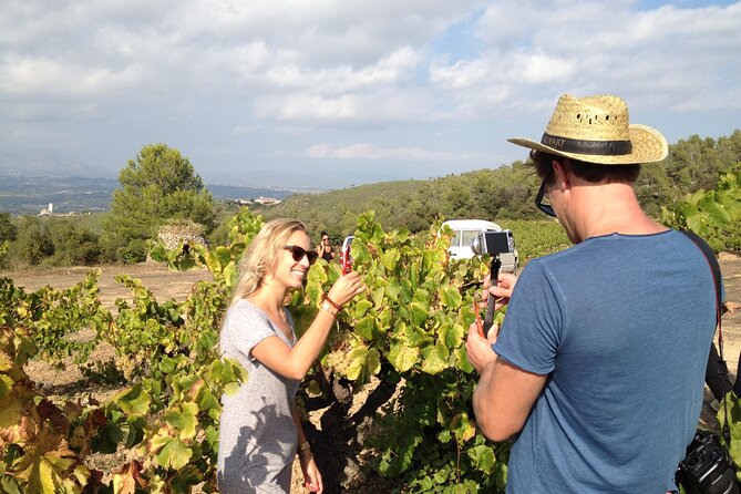 Penedes and Cava Winery Small Group Tour - The Practicalities of the Tour