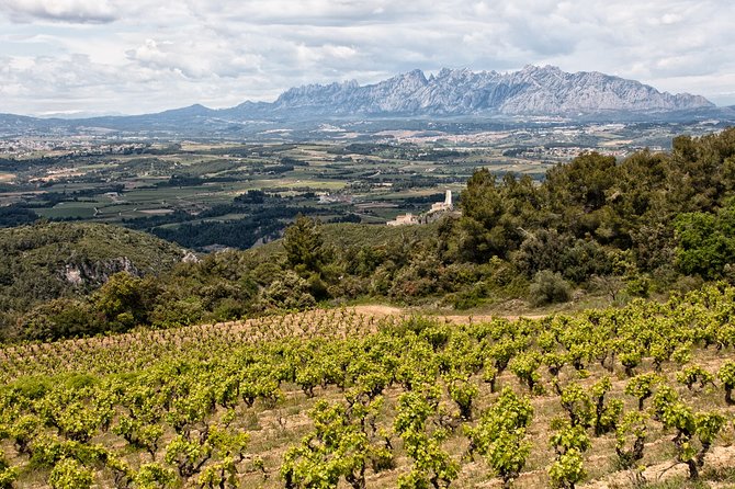 Penedes and Cava Winery Small Group Tour - FAQs