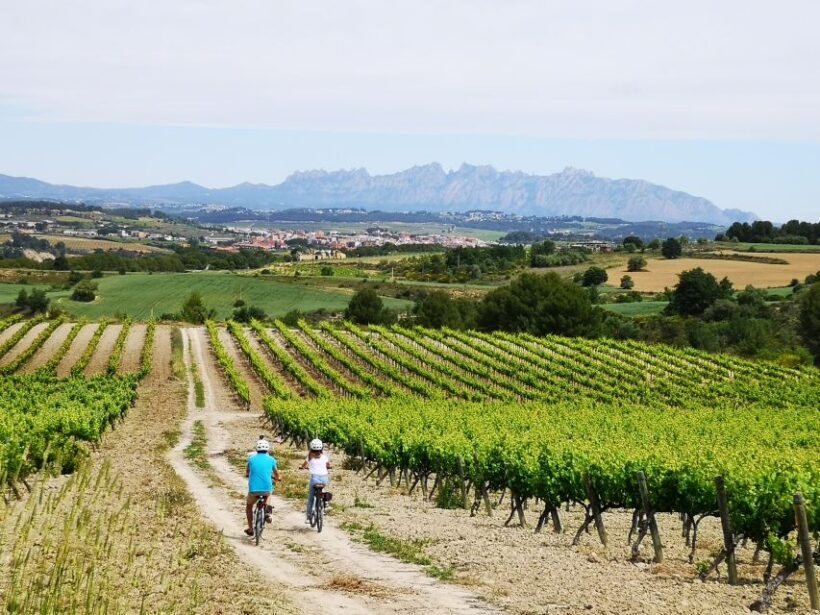 Penedès/BCN: Self-Guided eBike Tour with guided Winery Visit - An Authentic Taste of Catalonia’s Penedès Region