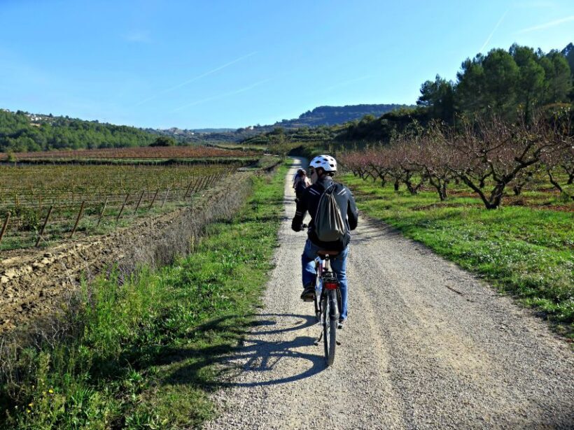 Penedès/BCN: Self-Guided eBike Tour with guided Winery Visit - In The Sum Up
