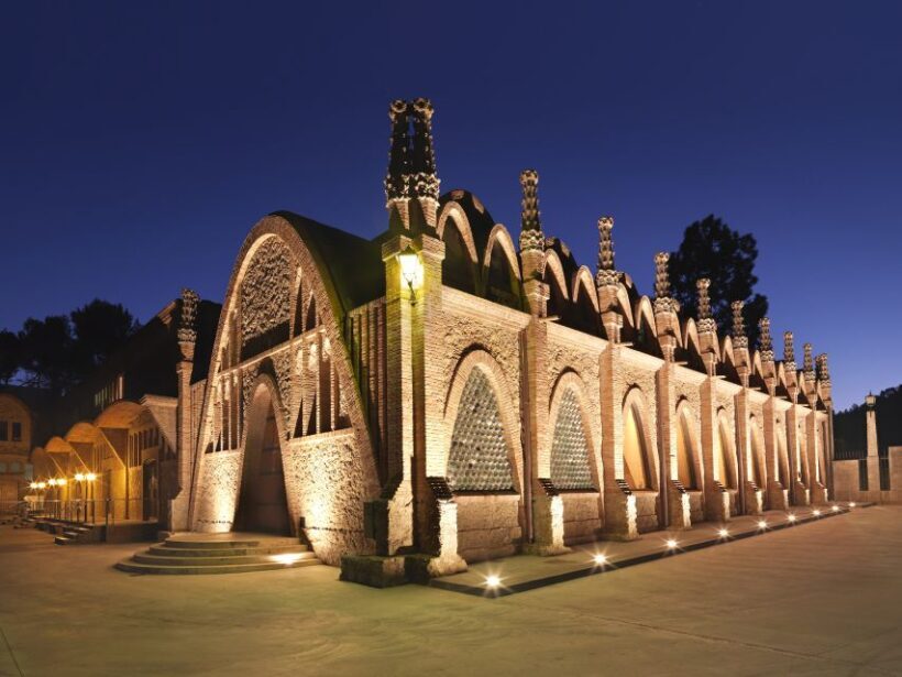 Penedès: Discovery Tour with Cava Tasting - An Inside Look at the Experience