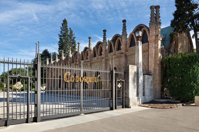 Penedès: Discovery Tour with Cava Tasting - Who Should Consider This Tour?