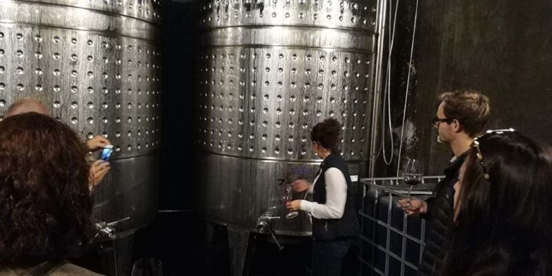 Penedes: Private Wine and Cava Tasting Tour - Itinerary Breakdown and Highlights