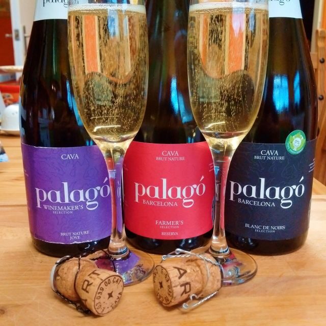 Penedès Vine to Wine: Personalized Cava taste&craft Workshop - Who Will Love This Tour?