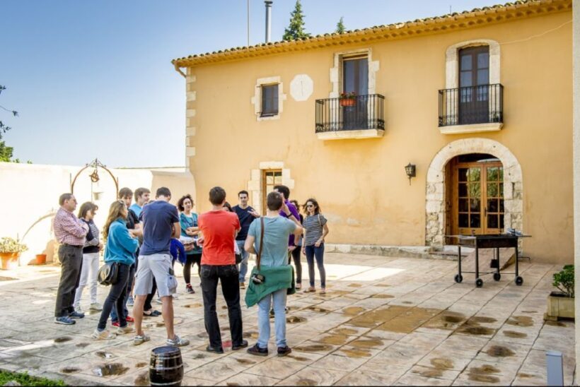 Penedès Vine to Wine: Personalized Cava taste&craft Workshop - The Sum Up