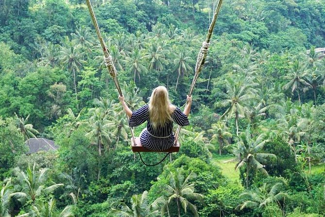 Penglipuran Traditional Village Tour with Swing, Rice Terrace, and Temple - Practical Details and What They Mean for You