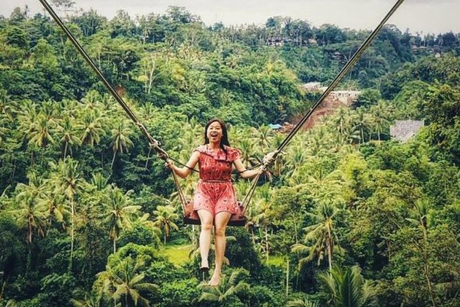 Penglipuran Traditional Village Tour with Swing, Rice Terrace, and Temple - Who Is This Tour Best For?