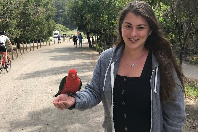 Penguin and Australian Animals Private Tour - An In-Depth Look at the Experience