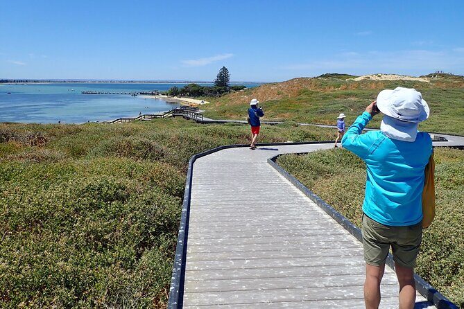 Penguin and Seal Islands Sea Kayaking Experience - Key Points