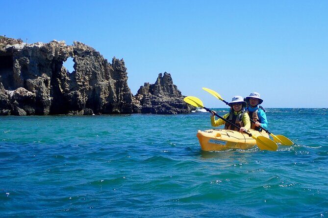 Penguin and Seal Islands Sea Kayaking Experience - Starting Point and Duration