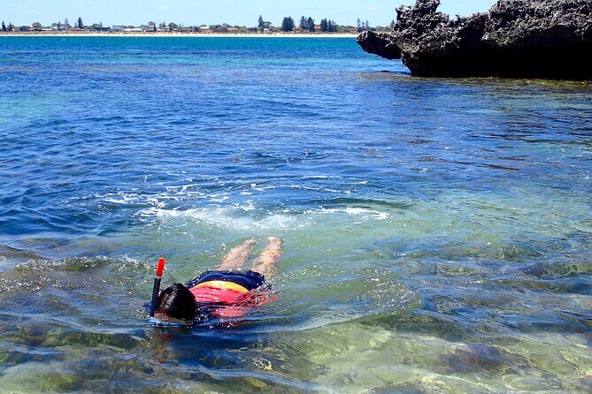 Penguin and Seal Islands Sea Kayaking Experience - Environmental and Safety Considerations
