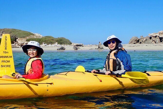 Penguin and Seal Islands Sea Kayaking Experience - Value for Money