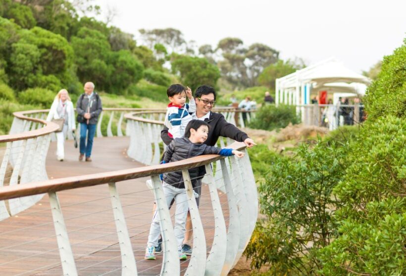 Penguin Parade: General Viewing Ticket - The Experience as a Whole