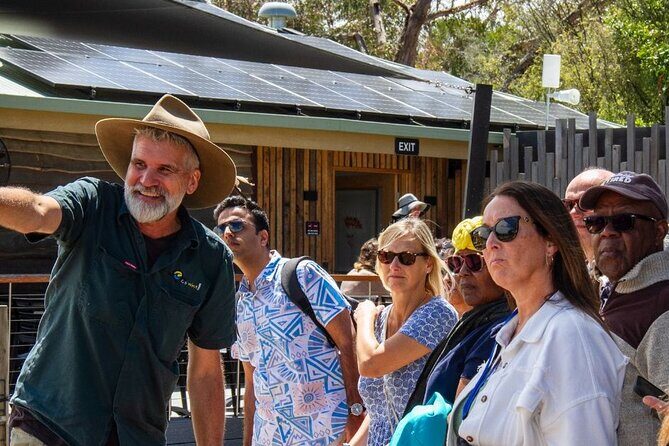 Penguin Parade, & Wildlife Encounters Eco Tour from Melbourne - Summer Highlights: Cape Woolamai & Cowes