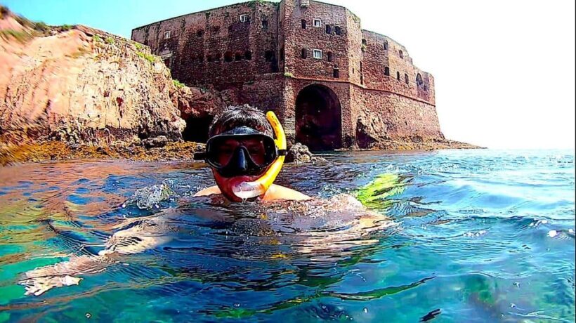 Peniche: Berlengas Island Catamaran Tour + Snorkeling - Key Points