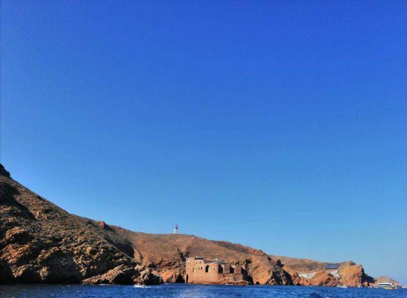 Peniche: Berlengas Island Round-Trip Ferry with Island Stop - Authentic Experiences and Traveler Tips