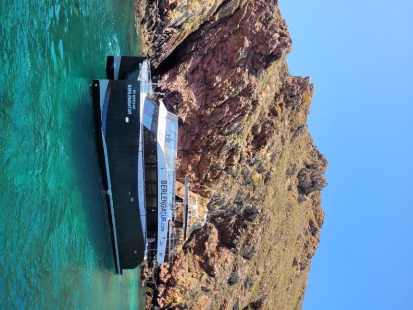 Peniche: Berlengas Island Round-Trip Ferry with Island Stop - Deep Dive into the Experience: Value, Logistics, and Overall Impression