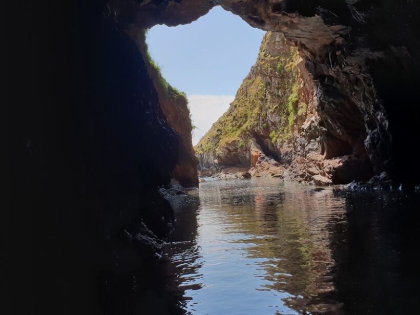 Peniche: Berlengas Roundtrip and Glass-Bottom Boat Cave Tour - Who Will Love This Tour?