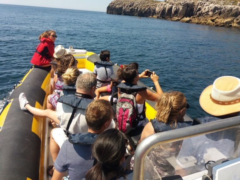 Peniche: Dolphin Route Boat Trip - FAQs