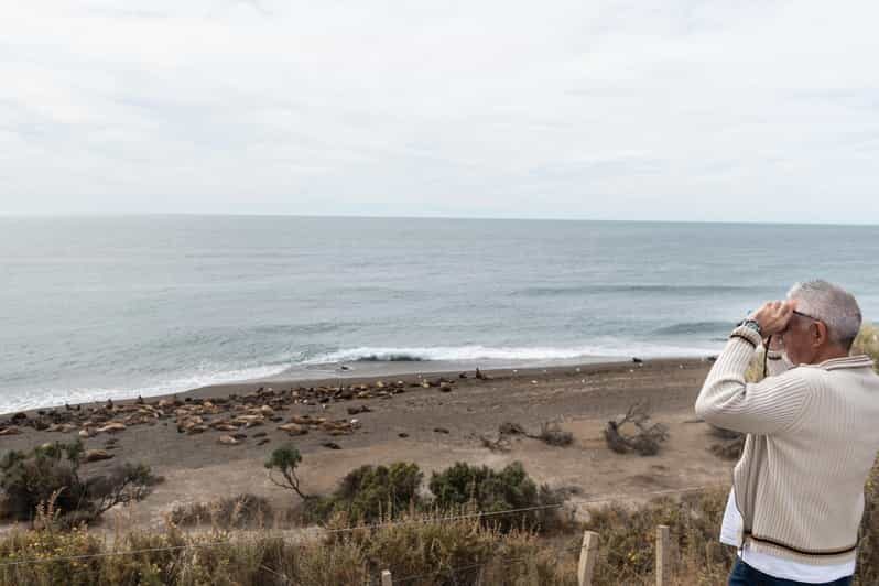 Peninsula Valdes Full Day Tour - Key Points