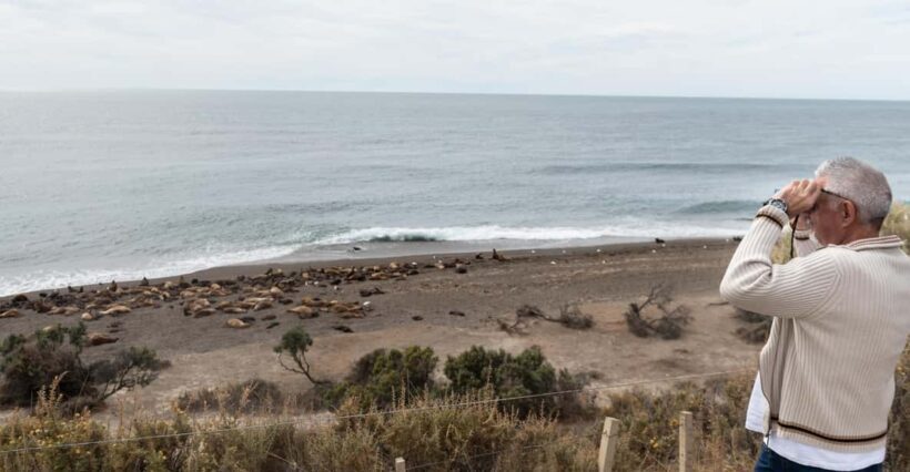 Peninsula Valdes Full Day Tour - Final Thoughts: Is It Worth It?