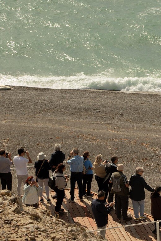 Peninsula Valdes Shore Tour for Cruise Passengers Lunch+City - Practical Tips for Participants