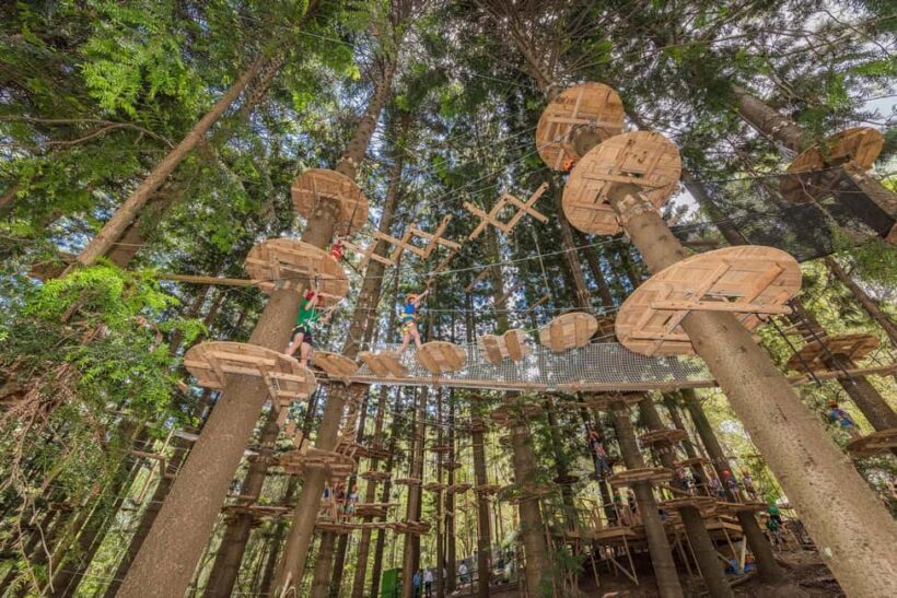 Pennant Hills: Tree Ropes Course Session - Exploring the Treetops Adventure: What to Expect