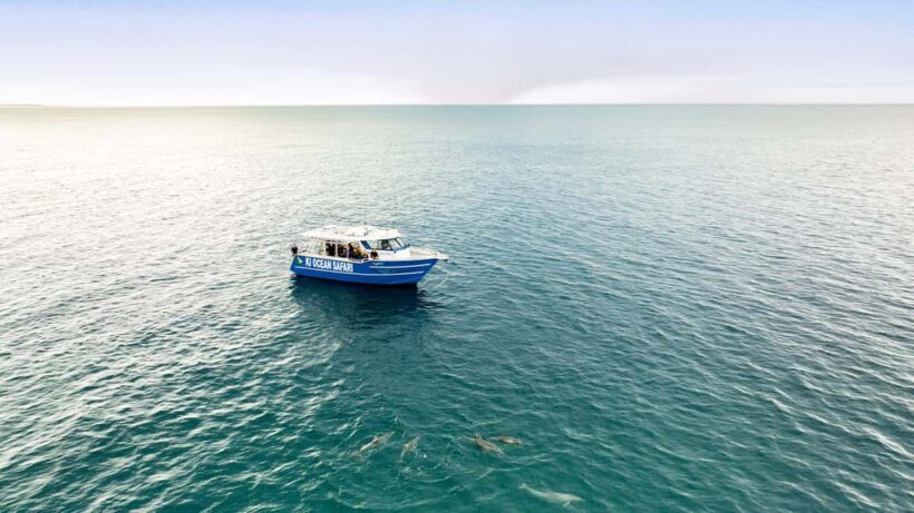 Penneshaw: Kangaroo Island Ultimate Adventure Tour - Key Points