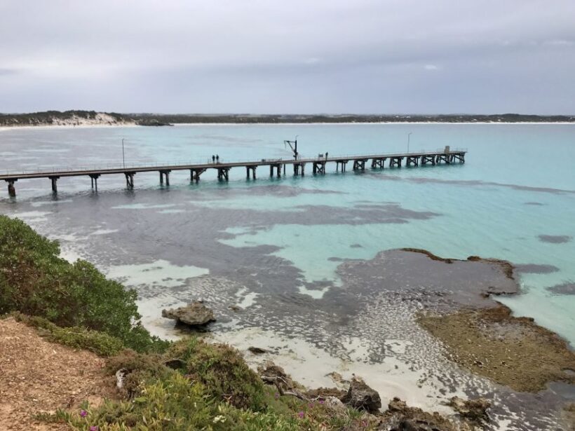 Penneshaw: Shore Excursion Kangaroo Island Scenic Tour - Key Points