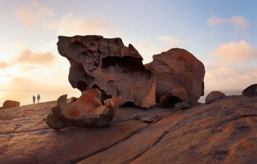 Penneshaw: Shore Excursion Kangaroo Island Scenic Tour - Authenticity, Value, and Practical Tips