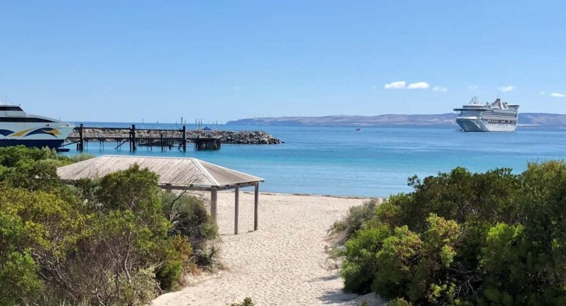 Penneshaw: Shore Excursion Kangaroo Island Scenic Tour - Who Will Love This Tour?