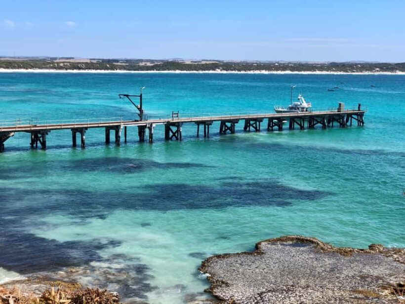 Penneshaw: Shore Excursion Kangaroo Island Scenic Tour - Final Thoughts