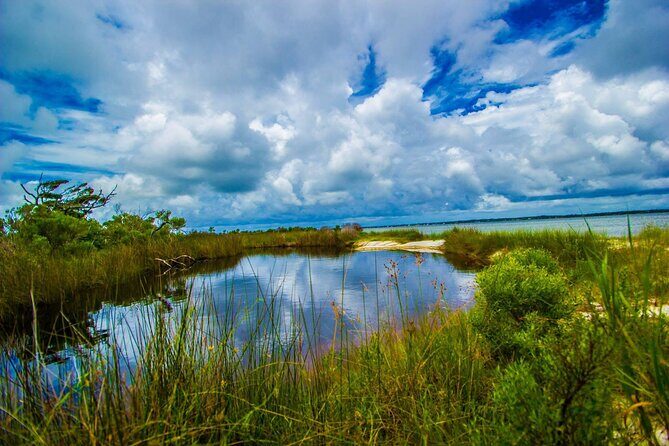 Pensacola Beach Fort Pickens Dolphin Cruise Tour - Who Will Enjoy This Tour?