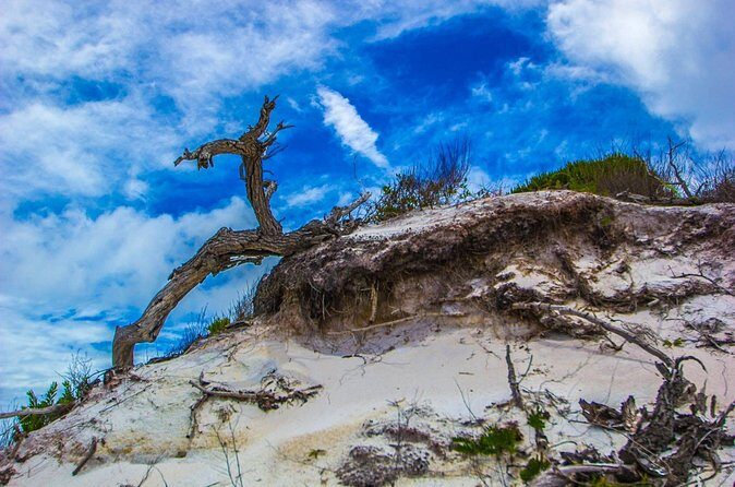 Pensacola Beach Fort Pickens Dolphin Cruise Tour - FAQs