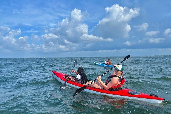 Pensacola Beach Kayak Tour - An Honest Look at the Pensacola Beach Kayak Tour